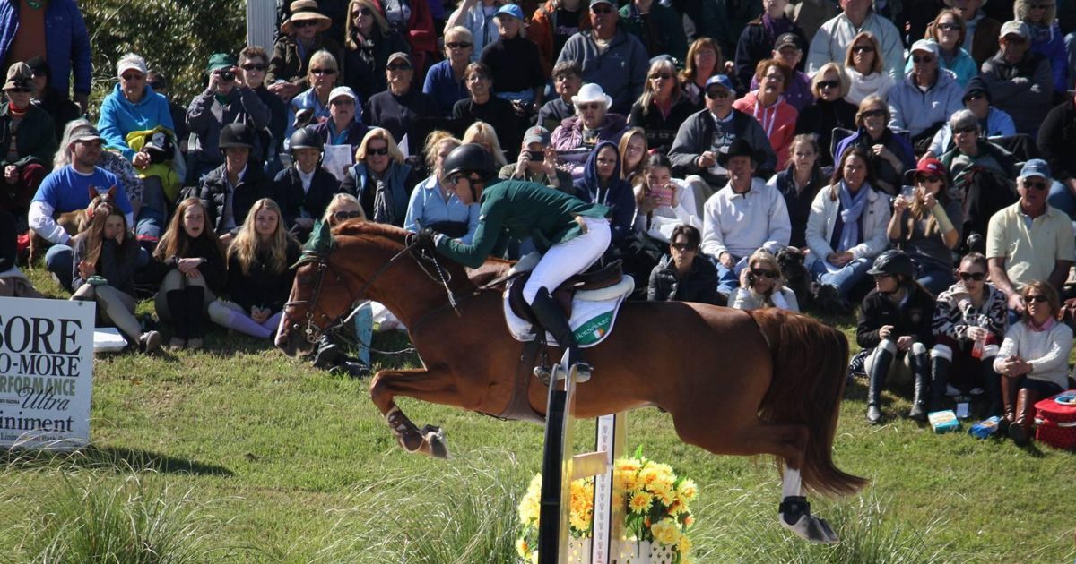 Ocala Horse Show Events 2024 | Ocala / Marion County Florida
