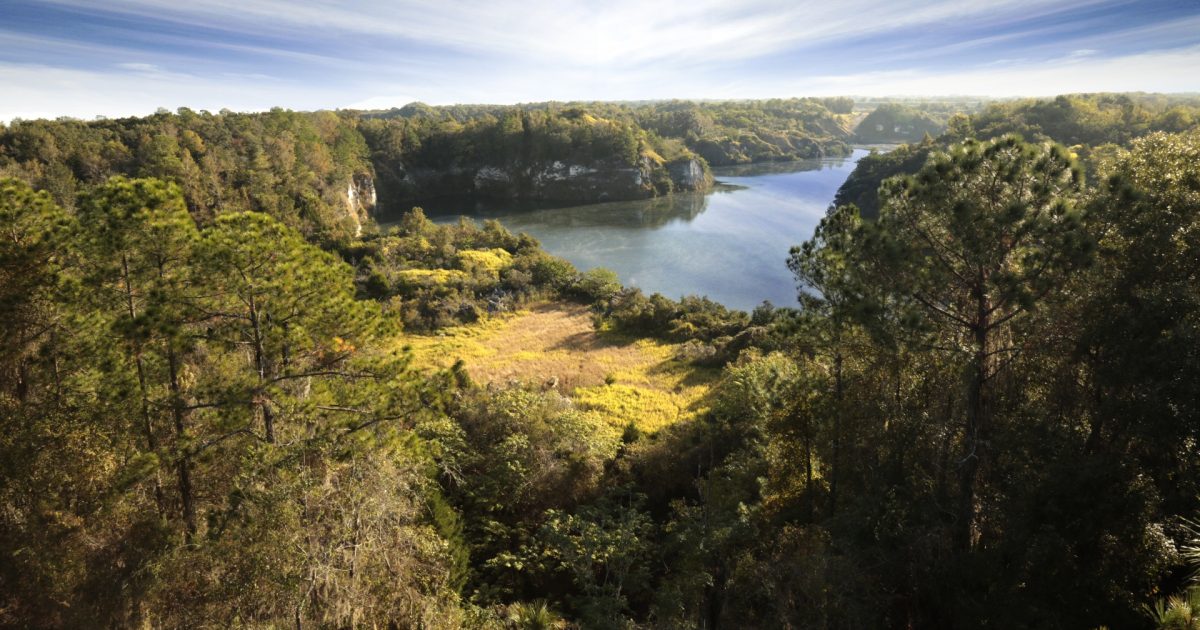 Ocala Weather Averages | Ocala / Marion County Florida