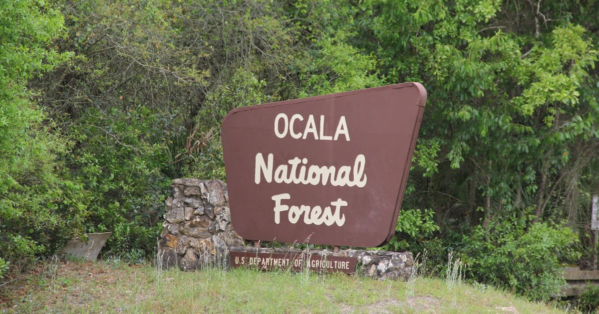 Explore the Towns and Cities | Ocala / Marion County Florida
