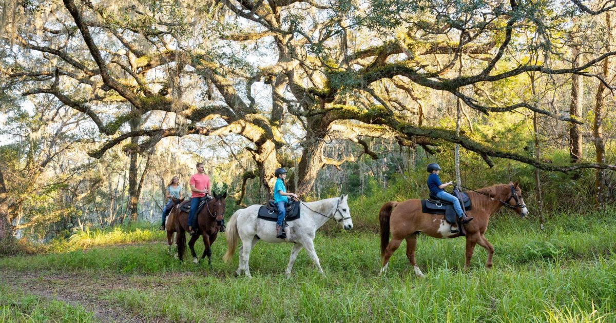 Horseback Riding in Florida | Ocala / Marion County Florida
