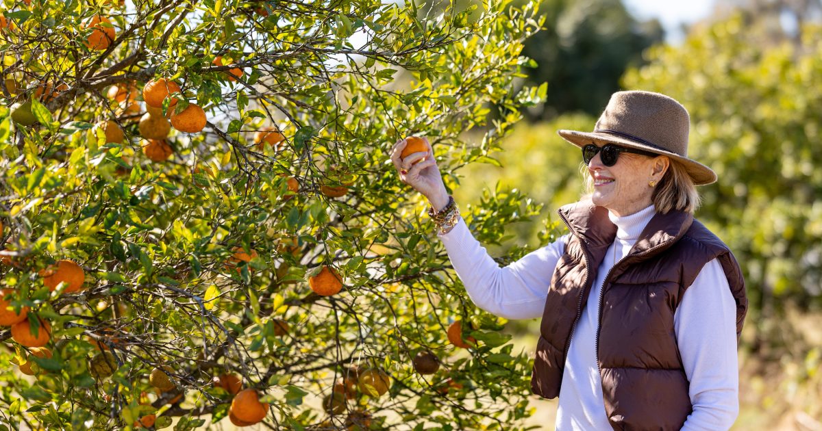 Where to Find Healthy Food in Ocala, FL | Ocala / Marion County Florida