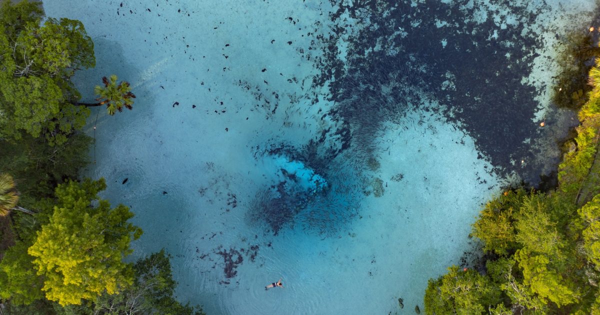 Ocala / Marion County Visitors | Florida | Visitors and Convention Bureau