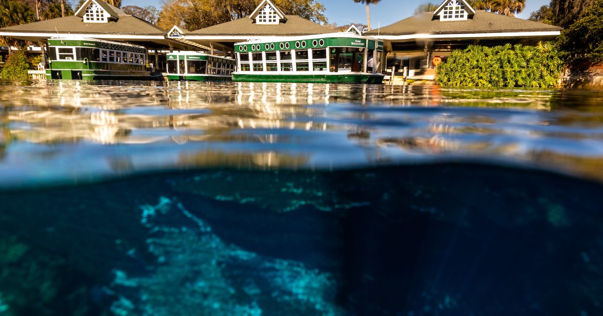 Guide to Silver Springs State Park | Ocala / Marion County Florida