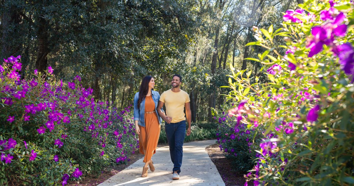 2026 Spring Events in Ocala / Marion County Florida | Ocala / Marion ...