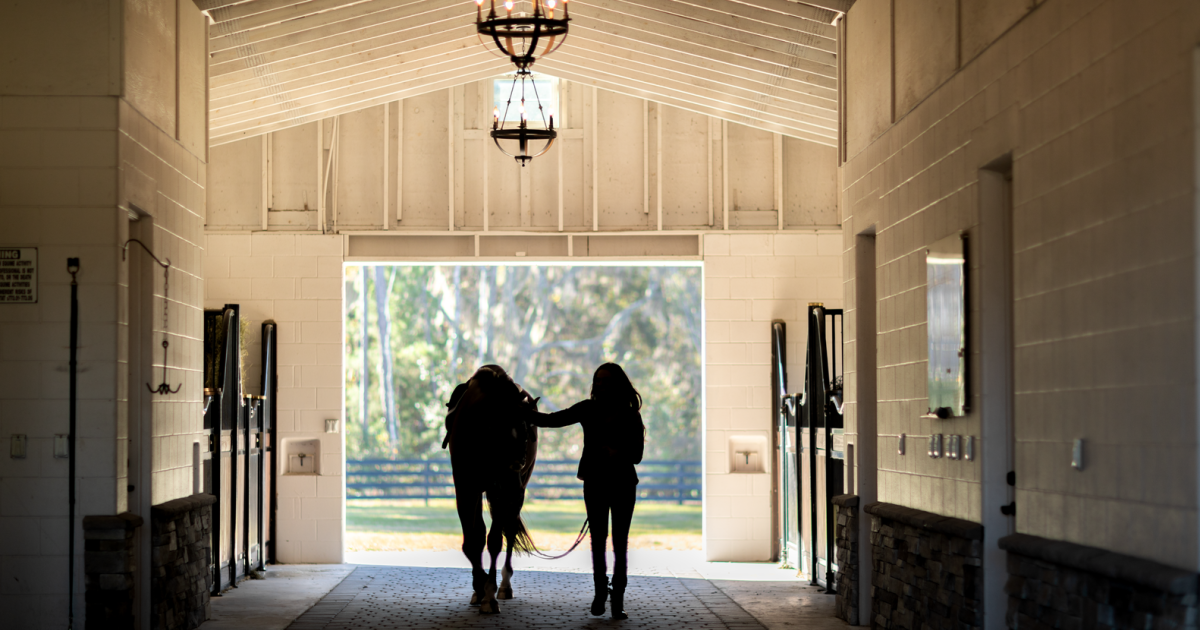 Experience Horse Country | Ocala / Marion County Florida | Ocala ...