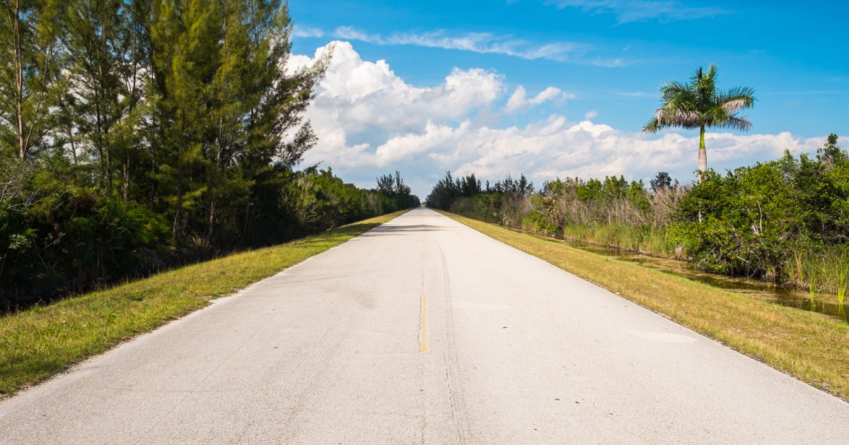 Local Film History | Ocala / Marion County Florida | Ocala / Marion ...