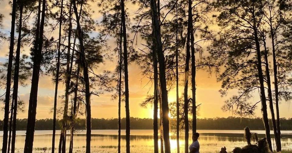 Doe Lake Recreation Area | Ocala / Marion County Florida