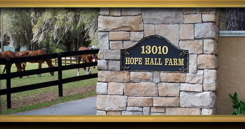 Hope Hall Farm | Ocala / Marion County Florida