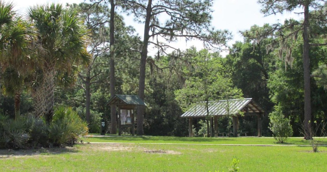 Ross Prairie Trailhead & Campground | Ocala / Marion County Florida