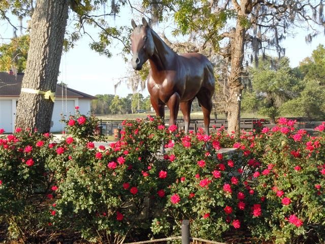 Happy Acres Ranch | Ocala / Marion County Florida
