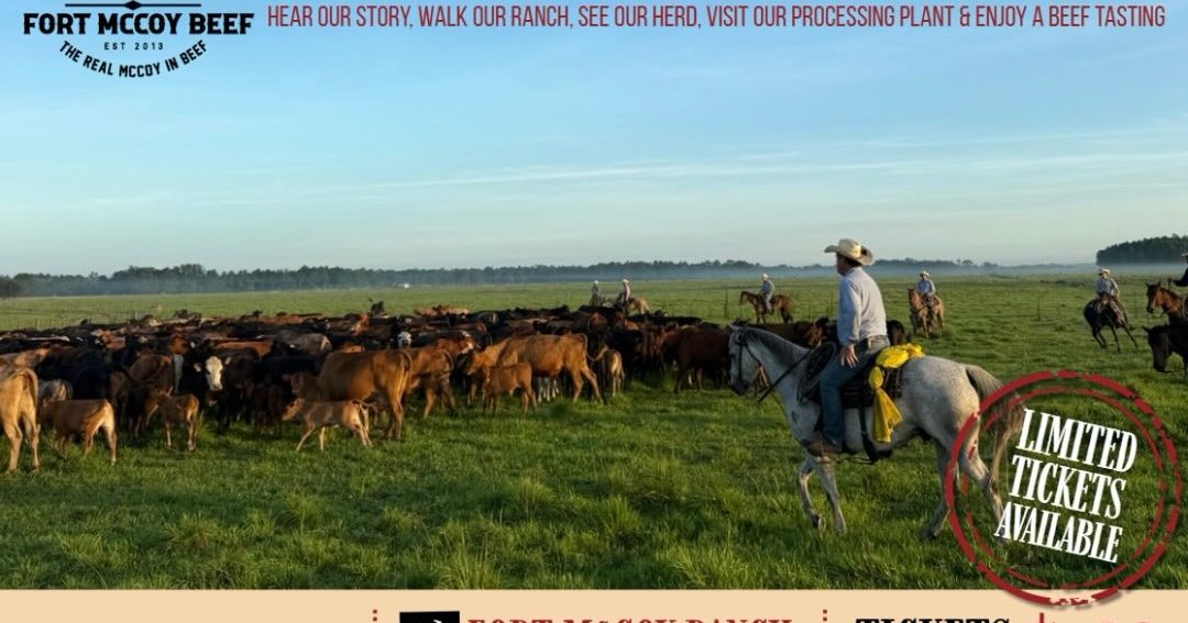 Pasture-To-Plate Tour | Ocala / Marion County Florida