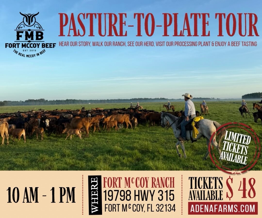 Pasture-To-Plate Tour | Ocala / Marion County Florida